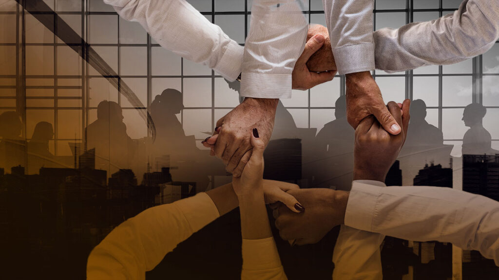 Início - Olaia & Associados